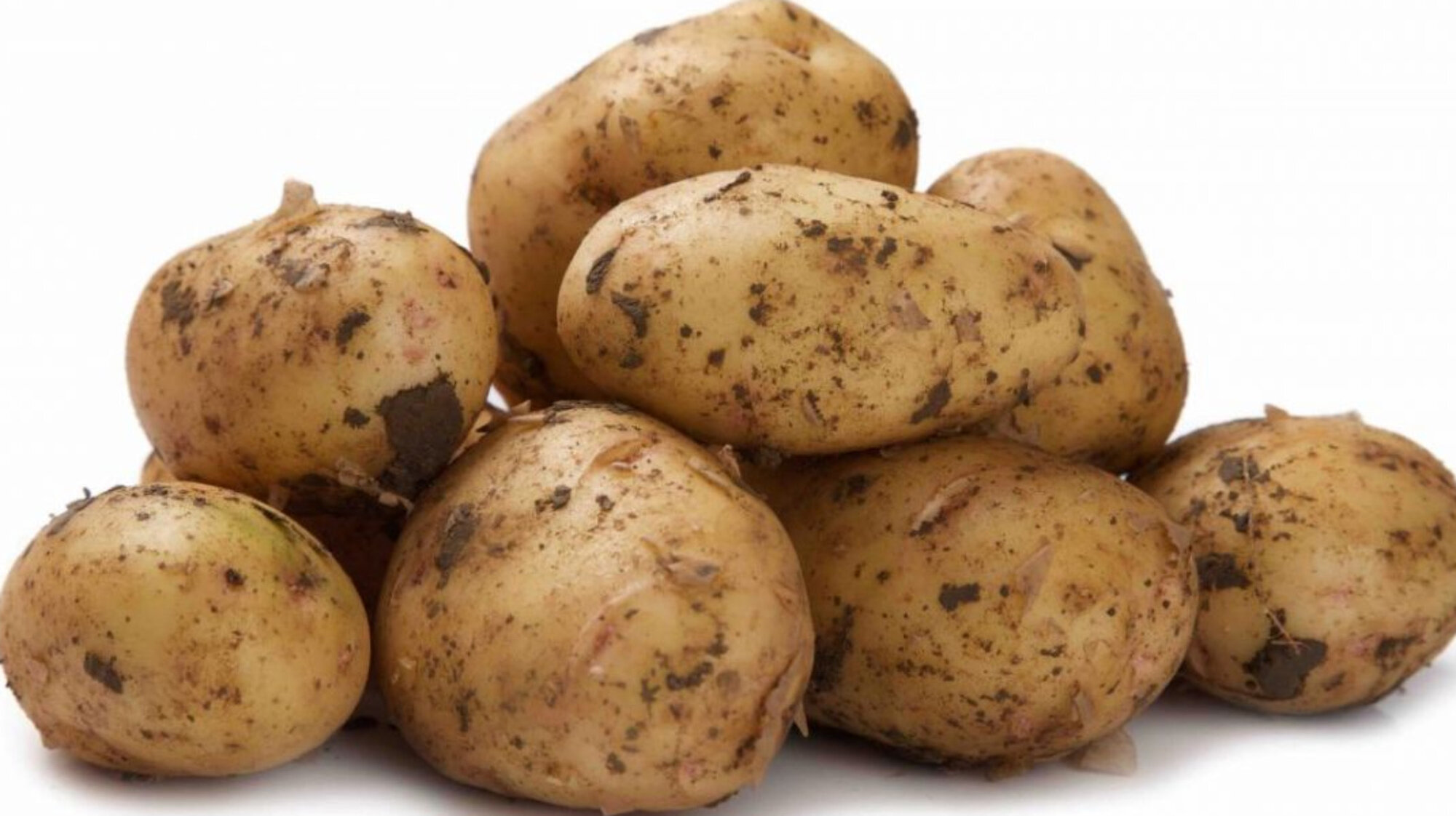 Картофель "Гала" в сетке 2 кг, ранний долгохранящийся сорт для посева и урожая высокого качества, обладает отличным, насыщенным вкусом; низким процентом содержания крахмала