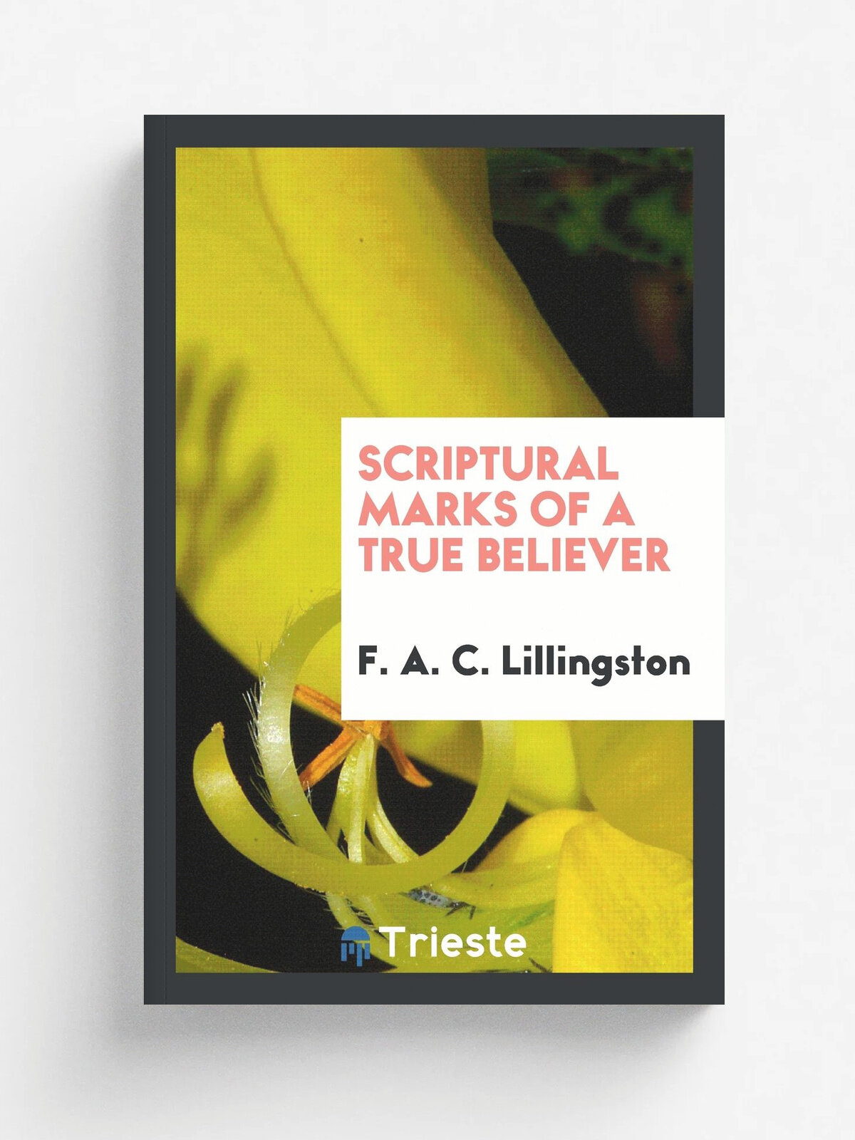 Scriptural Marks of a True Believer