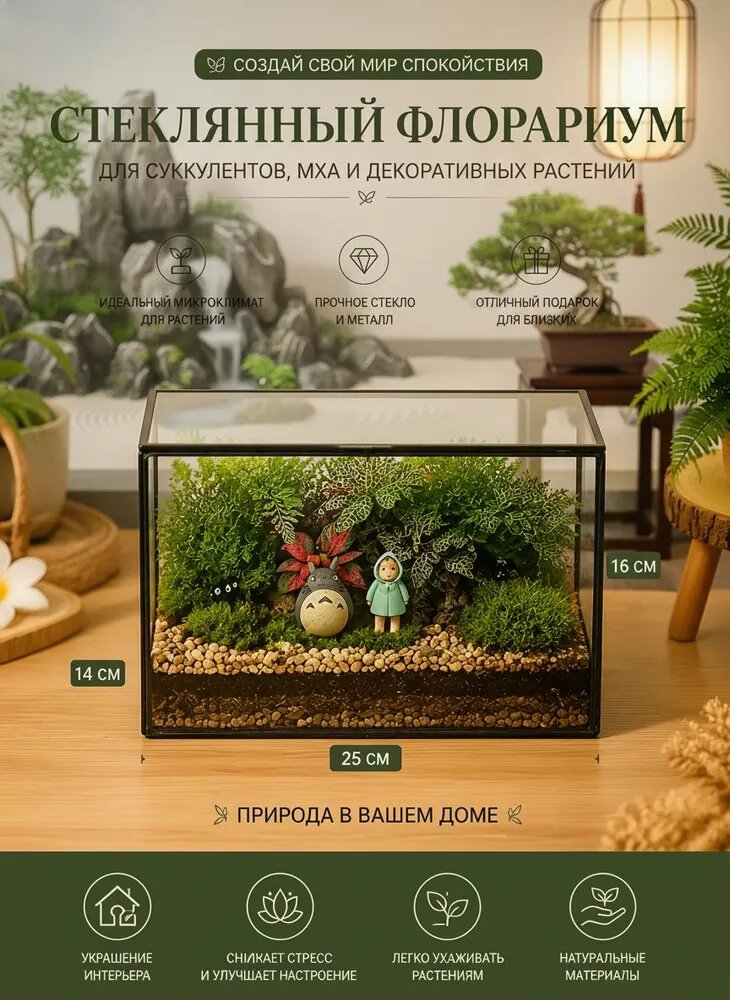 Стеклянный флорариум для суккулентов, мха и декоративных растений, 16 см, 25 см, 14 см, 1 шт, кремовый