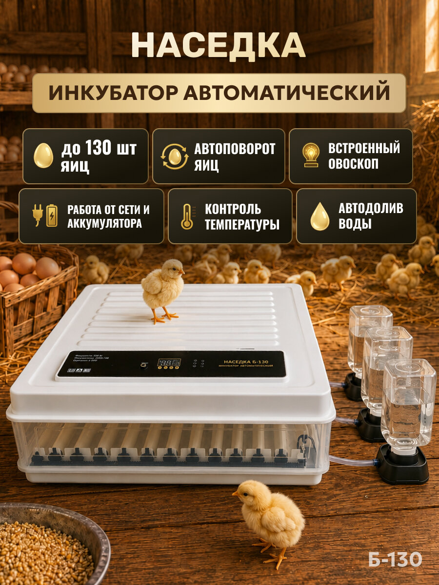 Инкубатор для яиц автоматический Наседка Б-130 с терморегулятором, овоскопом, автоповоротом, 220В/12В