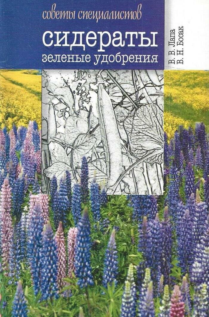 Сидераты. Зеленые удобрения