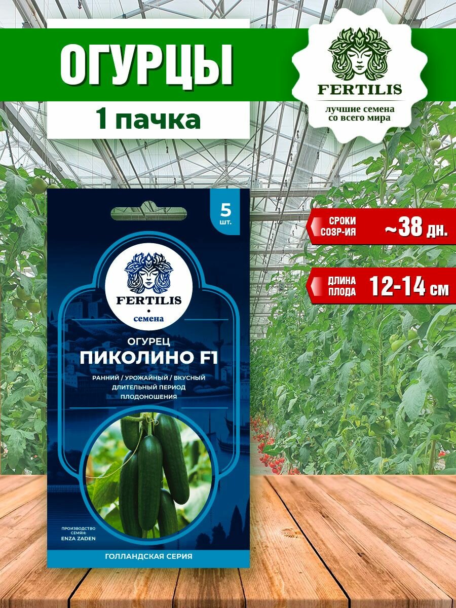 Семена гладкого огурца "Пиколино F1" от компании Fertilis (1 пачка)