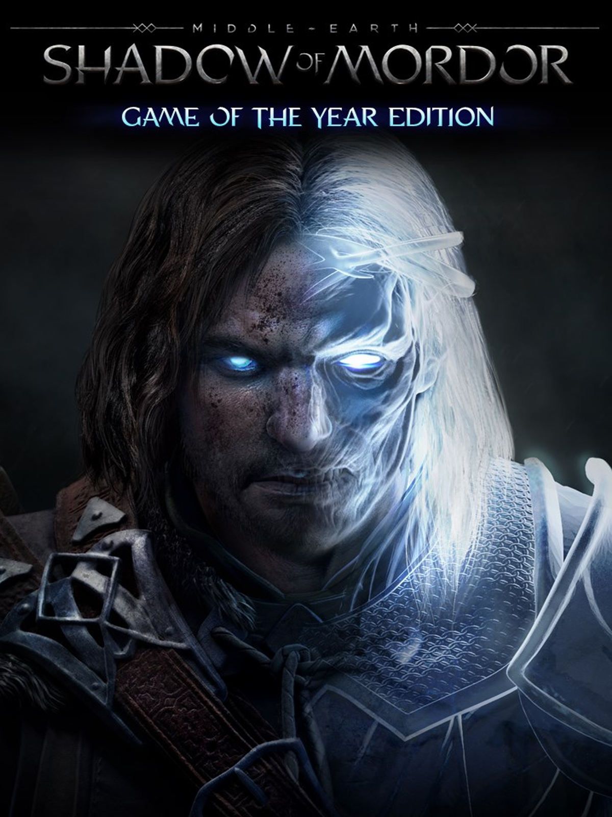 Middle-earth: Shadow of Mordor Game of the Year Edition Страны СНГ (Кроме РФ/РБ/КЗ/УКР)