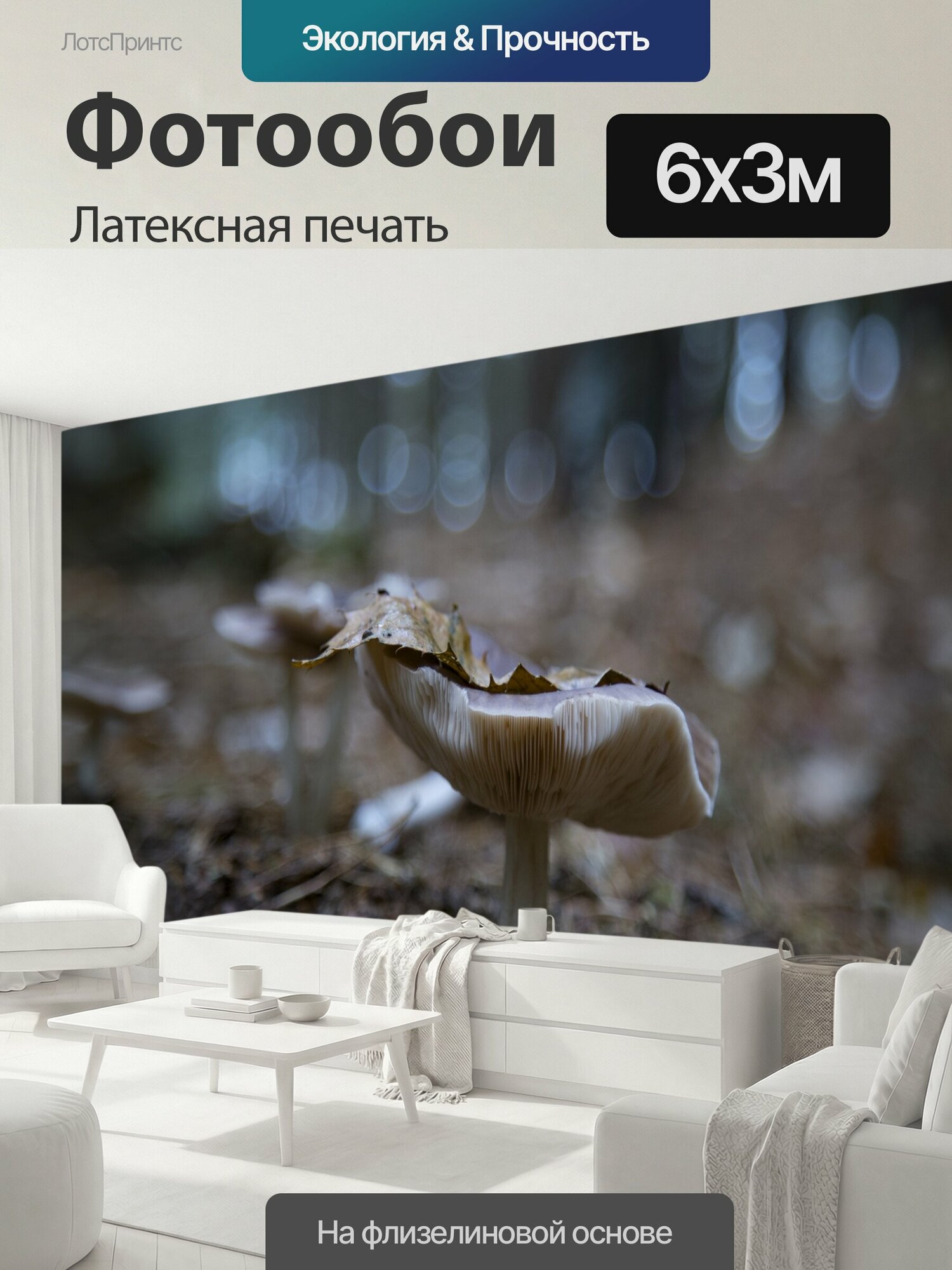 Фотообои моющиеся ударопрочные "Грибы Выращивание грибов в лесу грибы общие лес осень жизнь гриб фон свежие здоровье питание еда грибковая природа природные" 600x300 см. латексная печать