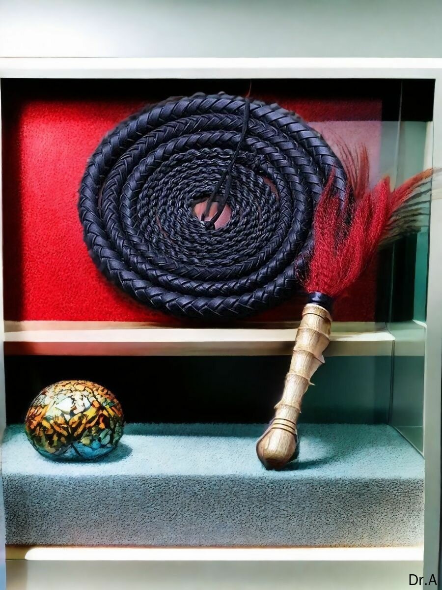 Боевые хлыст, кнут для пастуха/черный, подарок для мужчин(300 см)