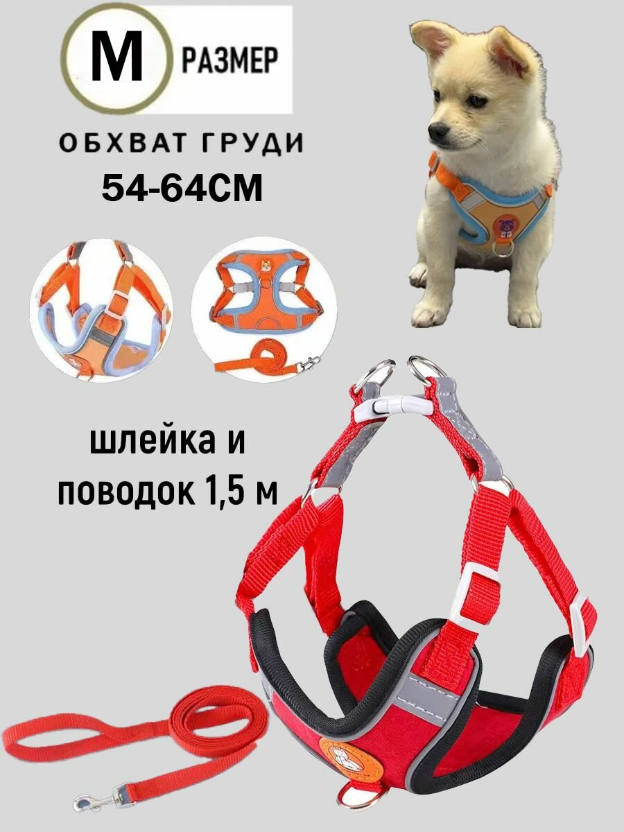 Шлейка для кошек с поводком, собак мелких пород. M. Обхват груди 54-64 см. красный универсальная для выгула