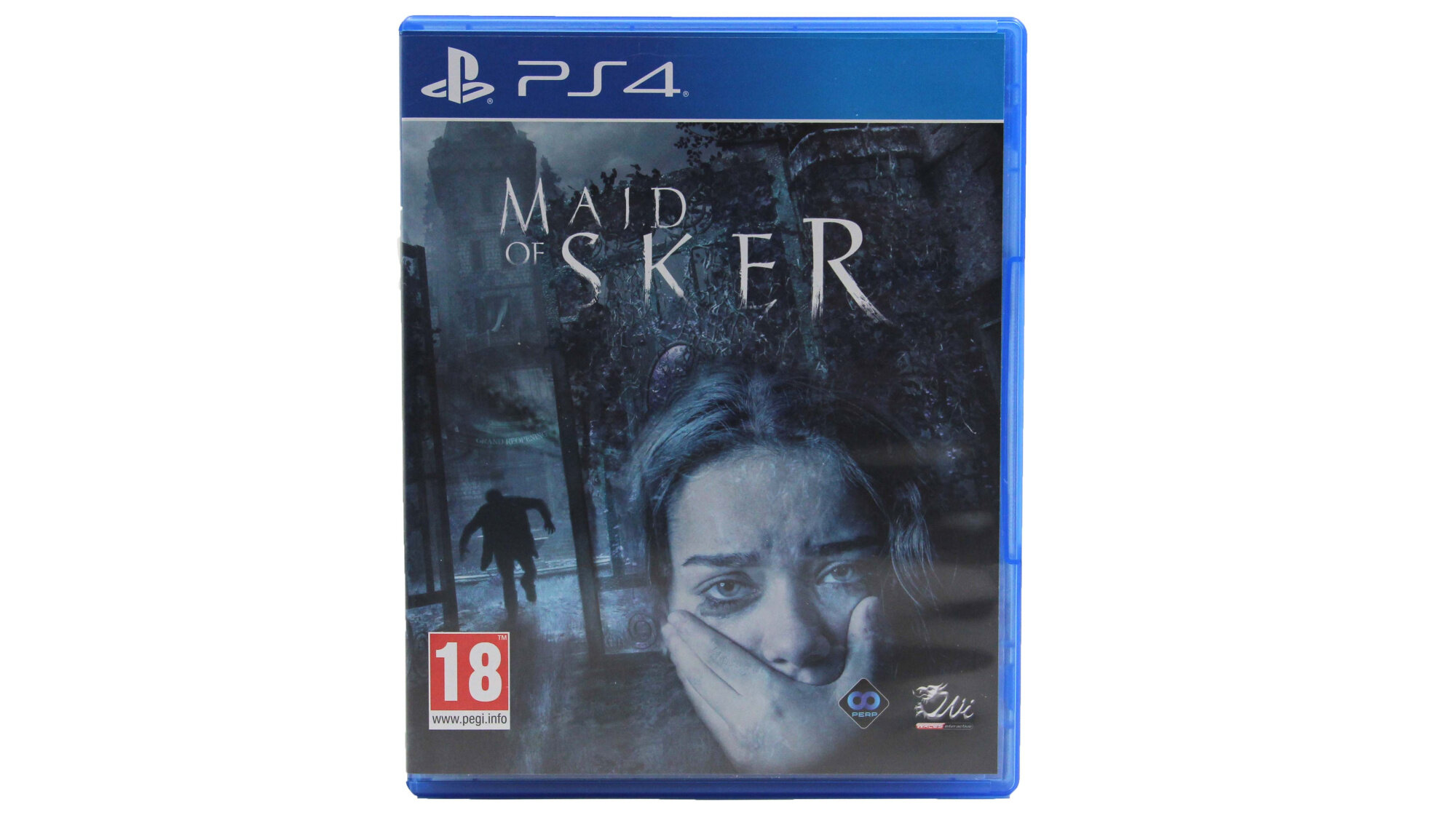 Maid of Sker для PS4 (Английский язык)