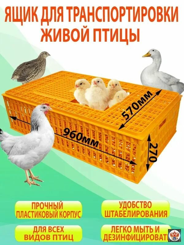 Ящик для перевозки живой птицы РТС-05 размер 960х570х270мм, ящик для транспортировки цыплят, кур, уток, гусей