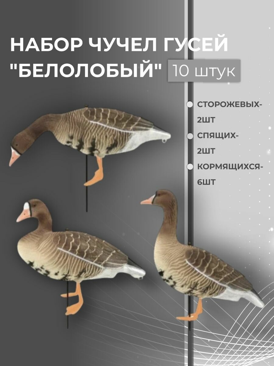 Набор Чучел гусей "Белолобый" (10 шт) сминаемые