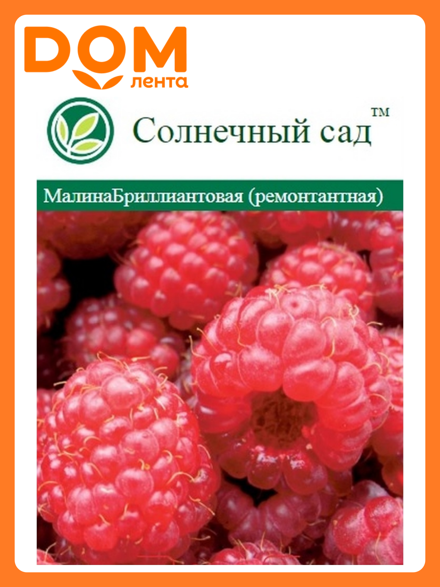 Малина ремонтантная, сорт С2 Н30, ягоды средней массой 3,8 г