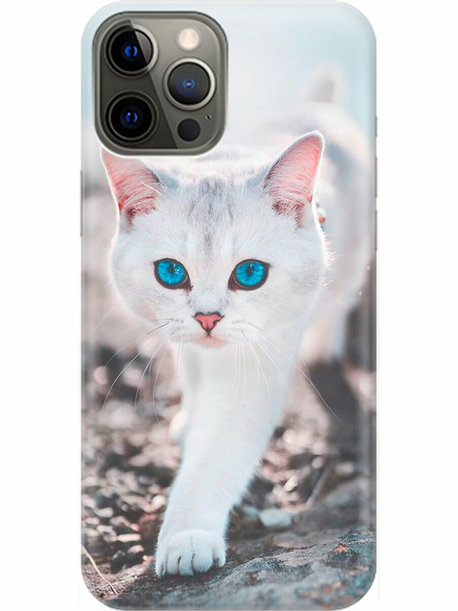 Силиконовый чехол на Apple iPhone 12 Pro Max / Эпл Айфон 12 Про Макс с рисунком "Голубоглазый кот"