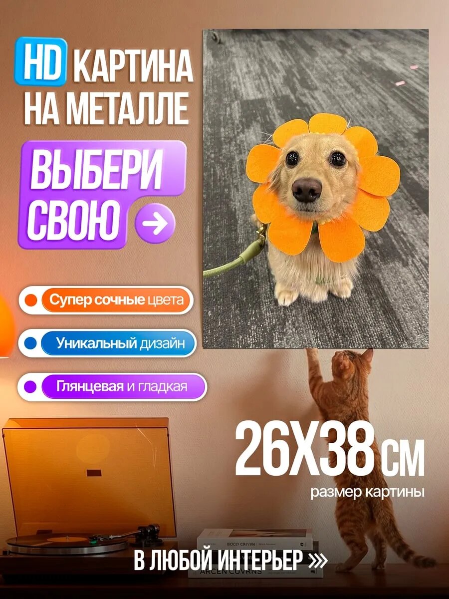 Картина на HD металле Собака в костюме цветка