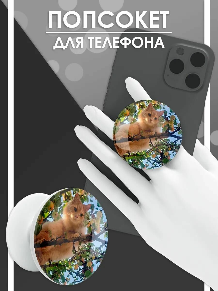 Попсокет Кот в яблоне, держатель для телефона