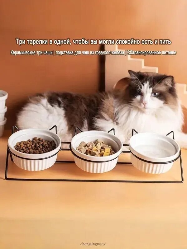 Три керамические миски для кошек, 3 шт, желтые, материал: керамика, железо