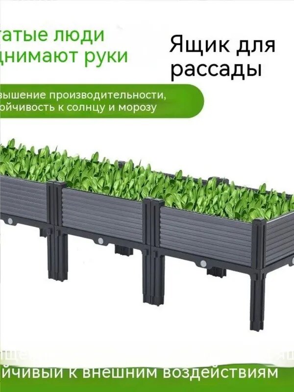 Грядка — фото 1