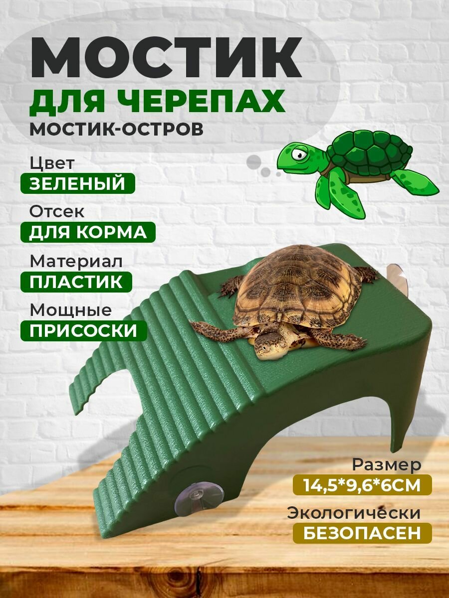 Мостик-остров для черепахи