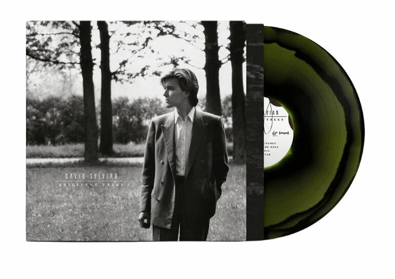 Виниловая пластинка David Sylvian - Brilliant Trees LP