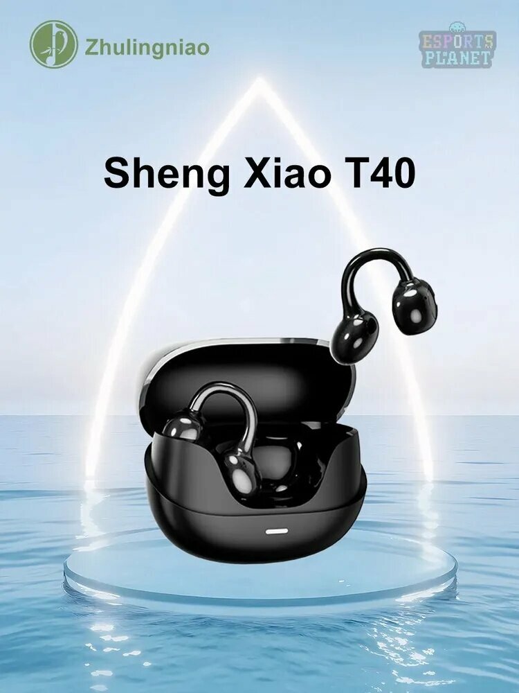 Zhulinniao Наушники беспроводные с микрофоном, Bluetooth, черный