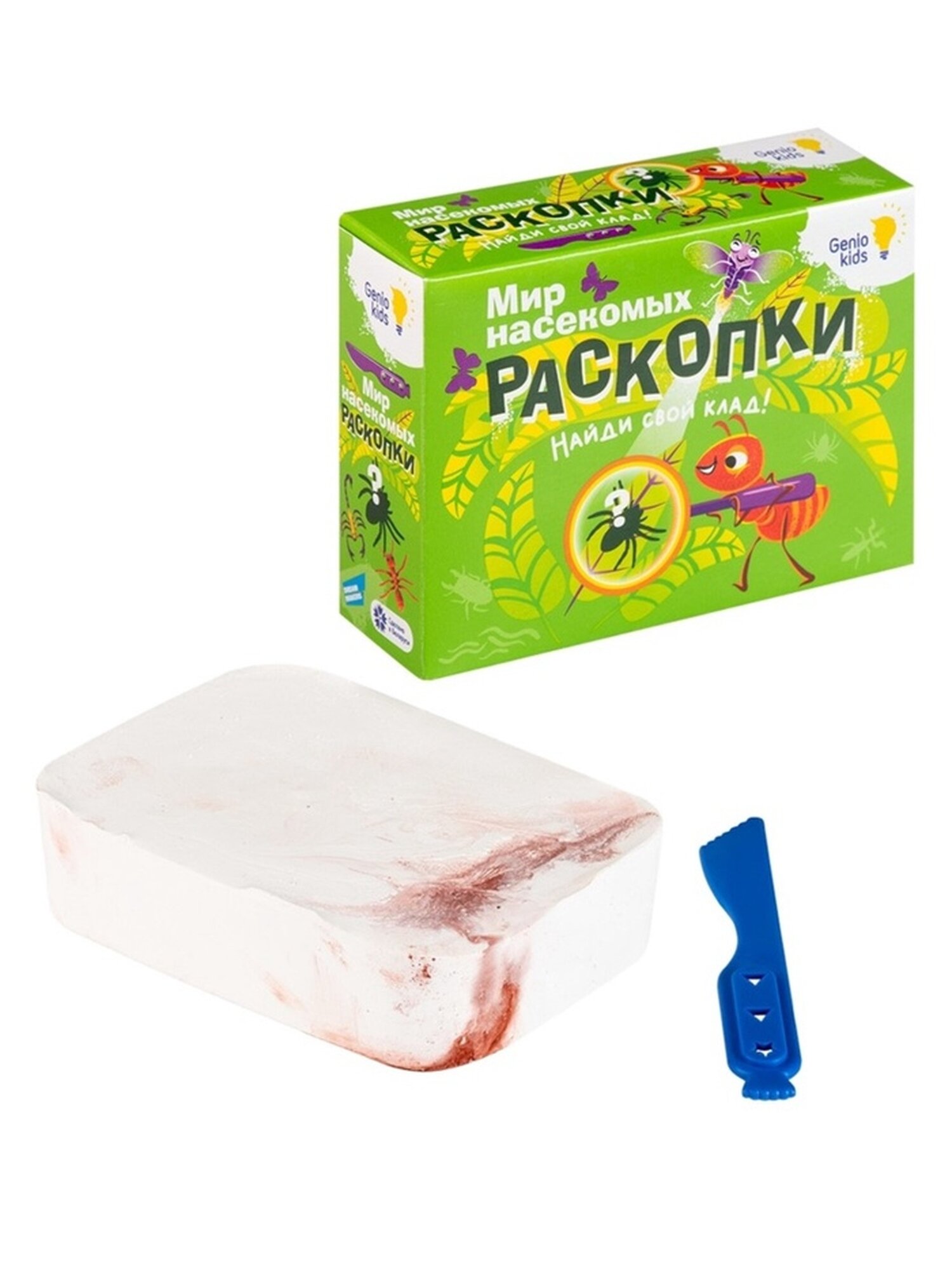 Набор для раскопок Dream Makers "Мир насекомых", с 2 фигурками