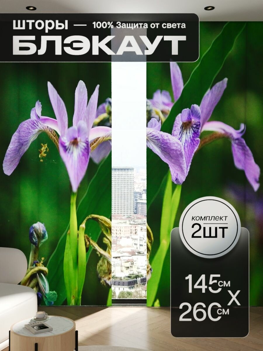 Шторы блэкаут 145x260 см 2 шт на окна плотные комплект