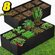 Грядка