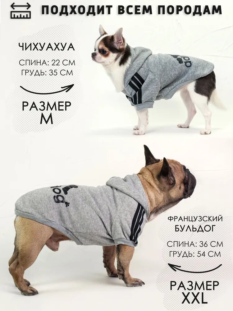 Одежда для животных — фото 1