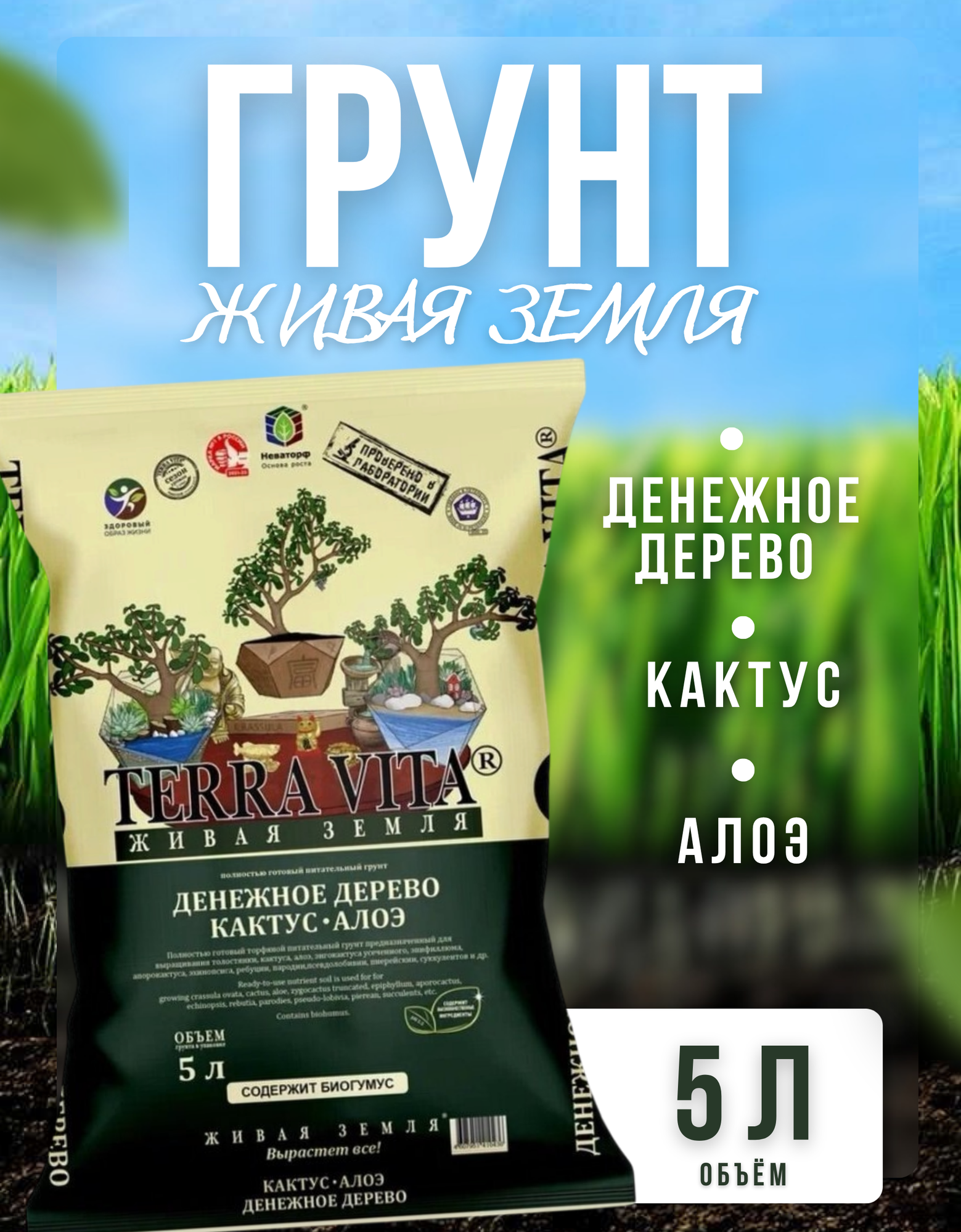 Грунт Живая земля денежное дерево, кактус, алоэ объем 5л, рассада для растений