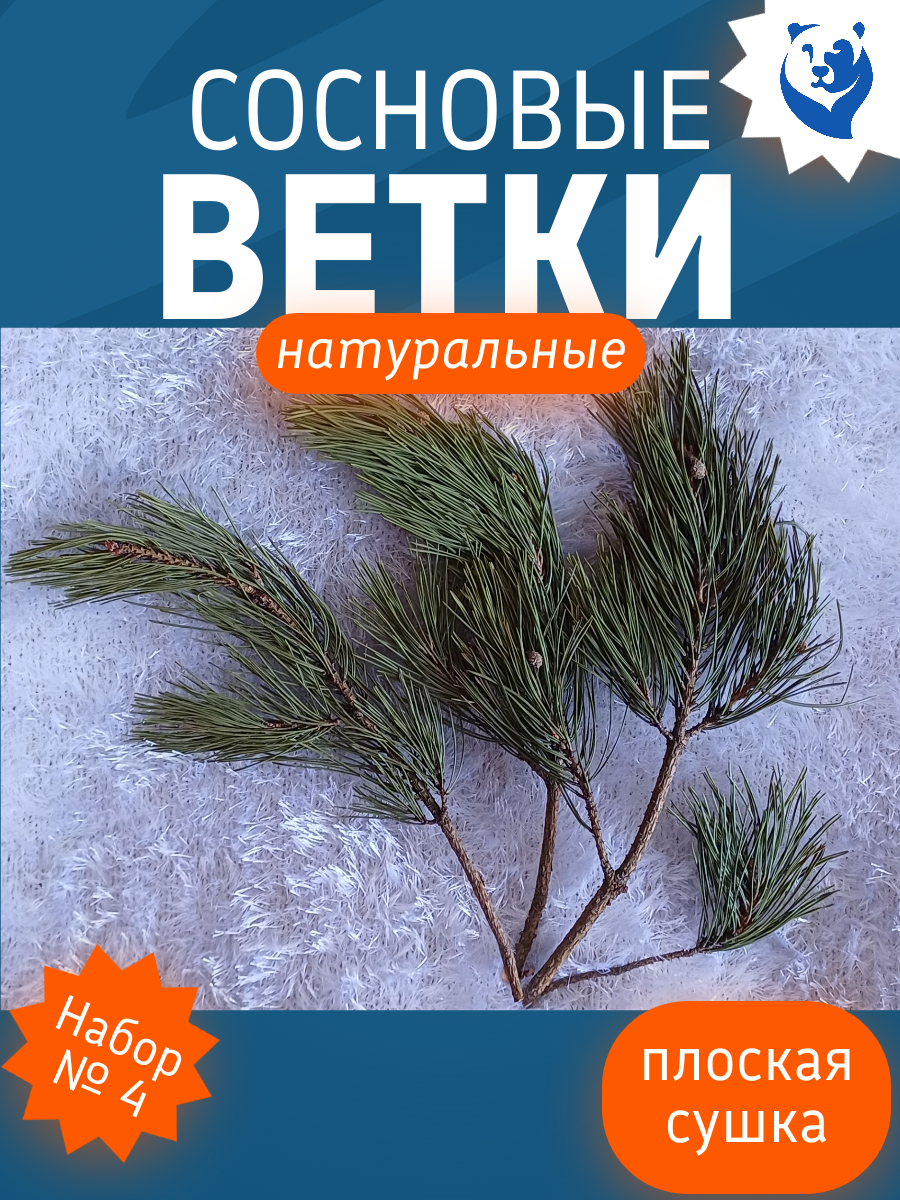 FashionProduct Сосновые ветки натуральные с иголками, плоская сушка, набор № 4, 3 шт, 29 см