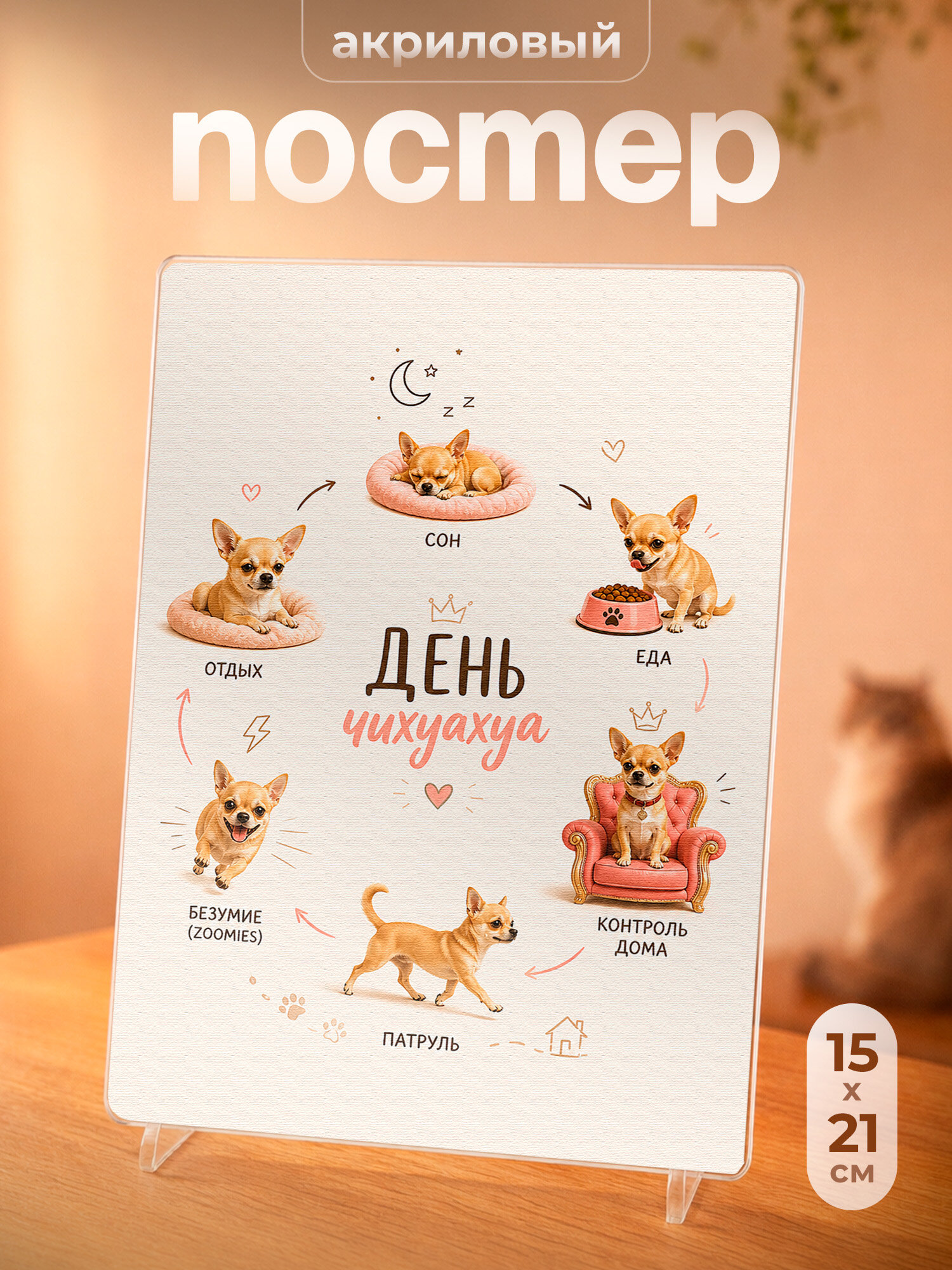 Акриловый постер день чихуахуа