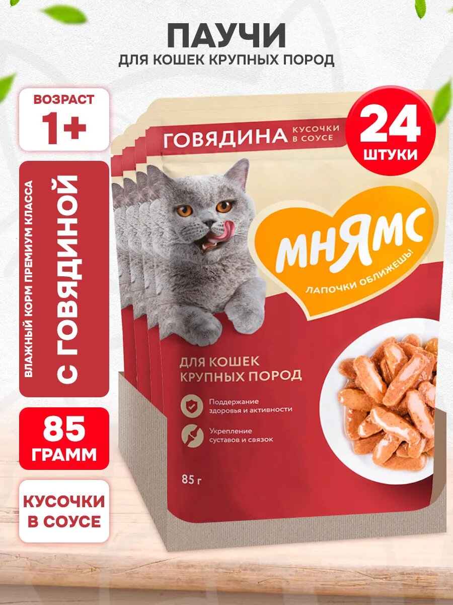 Корм влажный Мнямс для взрослых кошек крупных пород, говядина в соусе, 85 г х 24 шт