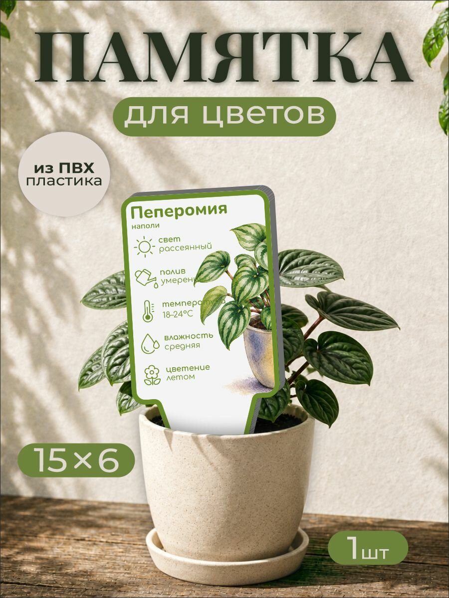 Фигурки для сада Пеперомия
