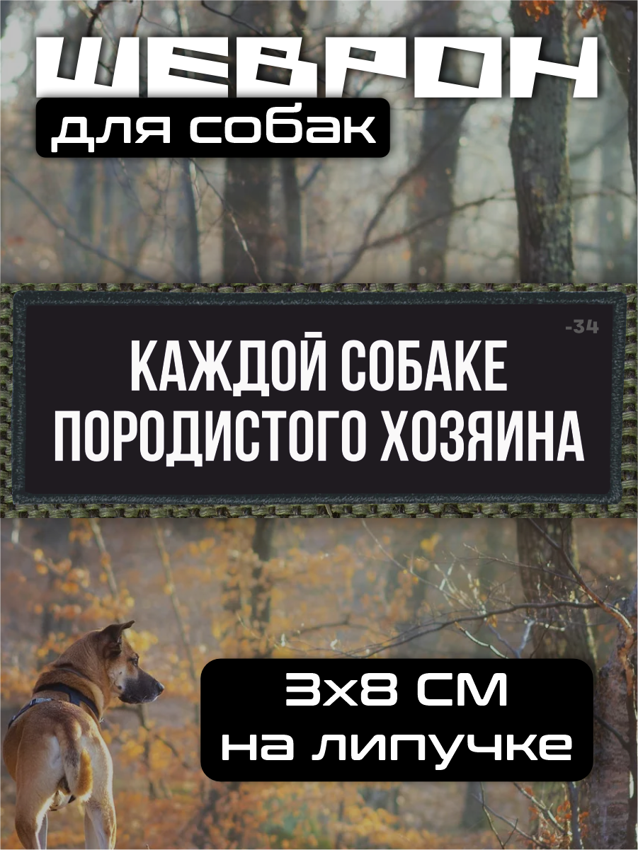 Шеврон на липучке для собак собаке породистого хозяина