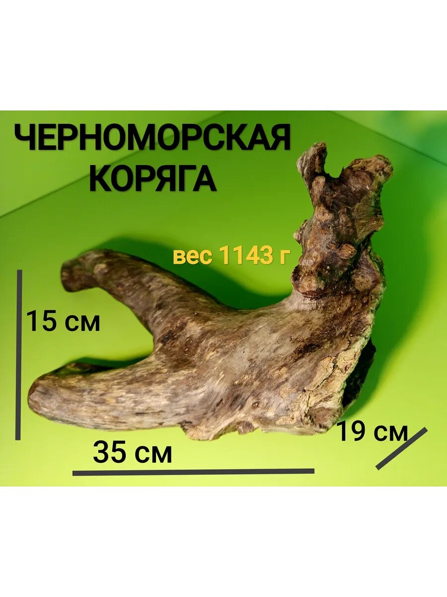 Коряга Черноморская серый гранит для террариума, вольера