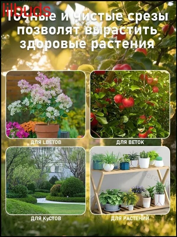 LilBuds Сучкорез — фото 1