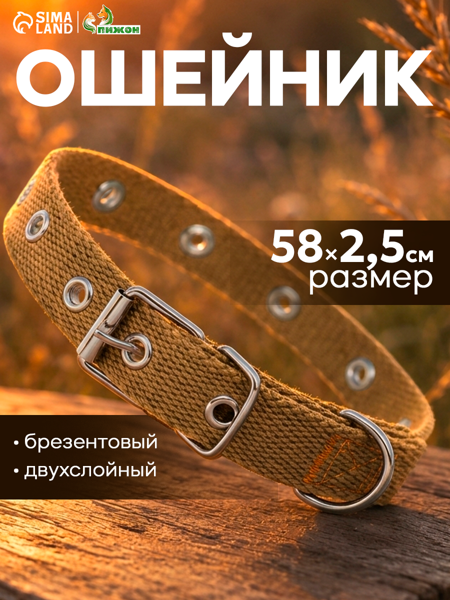 Ошейник Пижон, брезент, двухслойный, регулируемый, 58 х 2,5 см, песочный