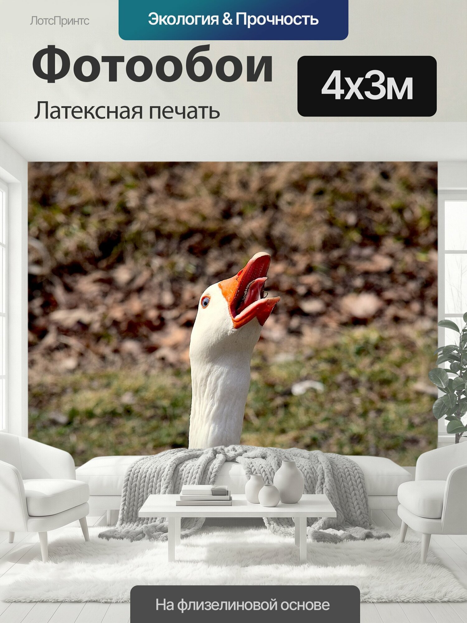 Фотообои моющиеся ударопрочные "Гуси, гудок, солнечный" 400x300 см. латексная печать