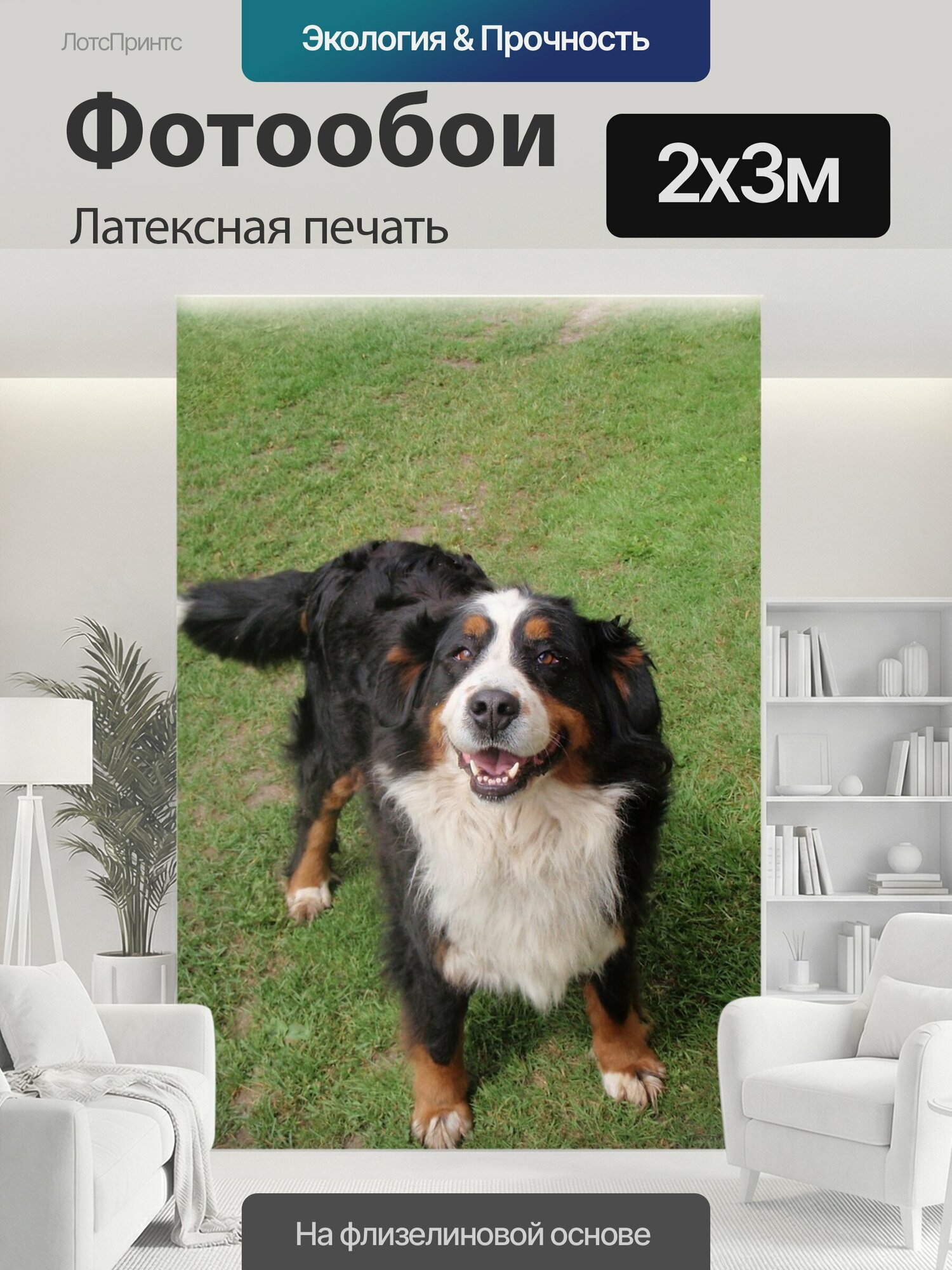 Фотообои моющиеся ударопрочные "Собака, бернский зенненхунд, горная собака" 200x300 см. латексная печать