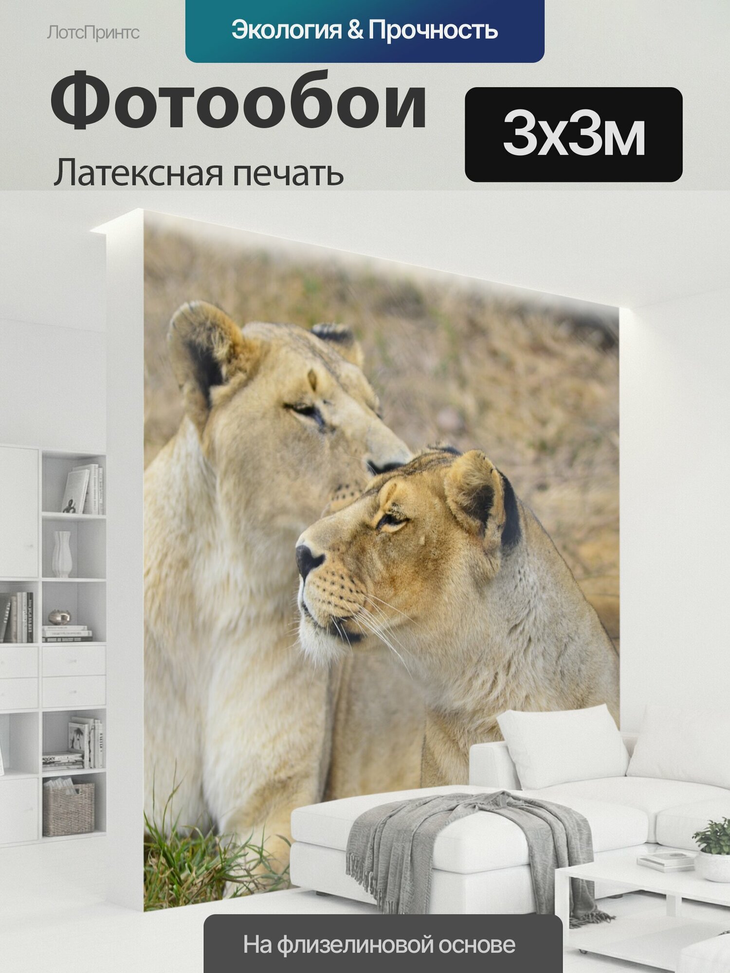 Фотообои моющиеся ударопрочные "Львица, лев, африка" 300x300 см. латексная печать
