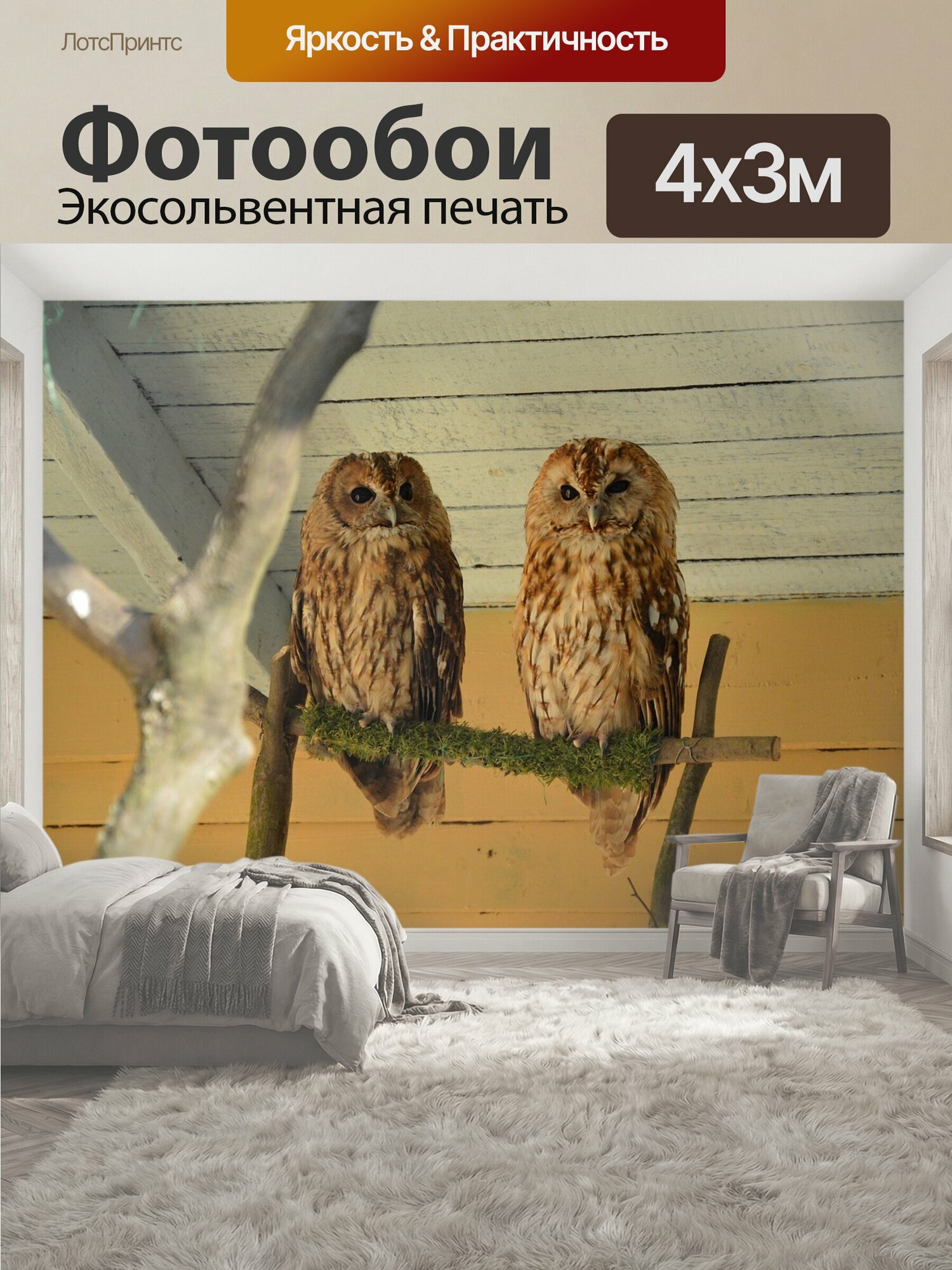 Фотообои "Сова, неясыть обыкновенная, совы" 400x300 см. экосольвентная печать
