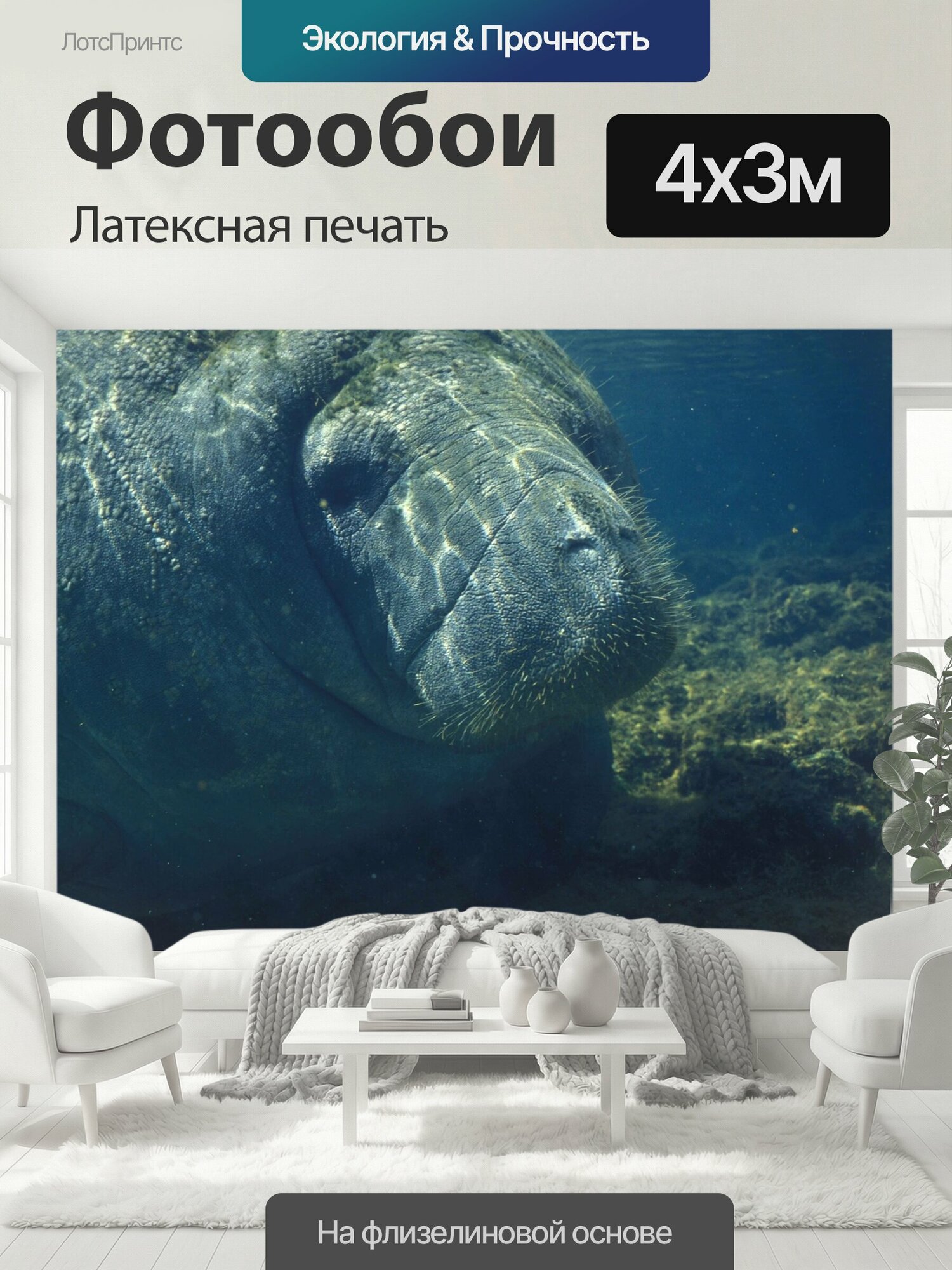 Фотообои моющиеся ударопрочные "Ламантин, морской, животные" 400x300 см. латексная печать