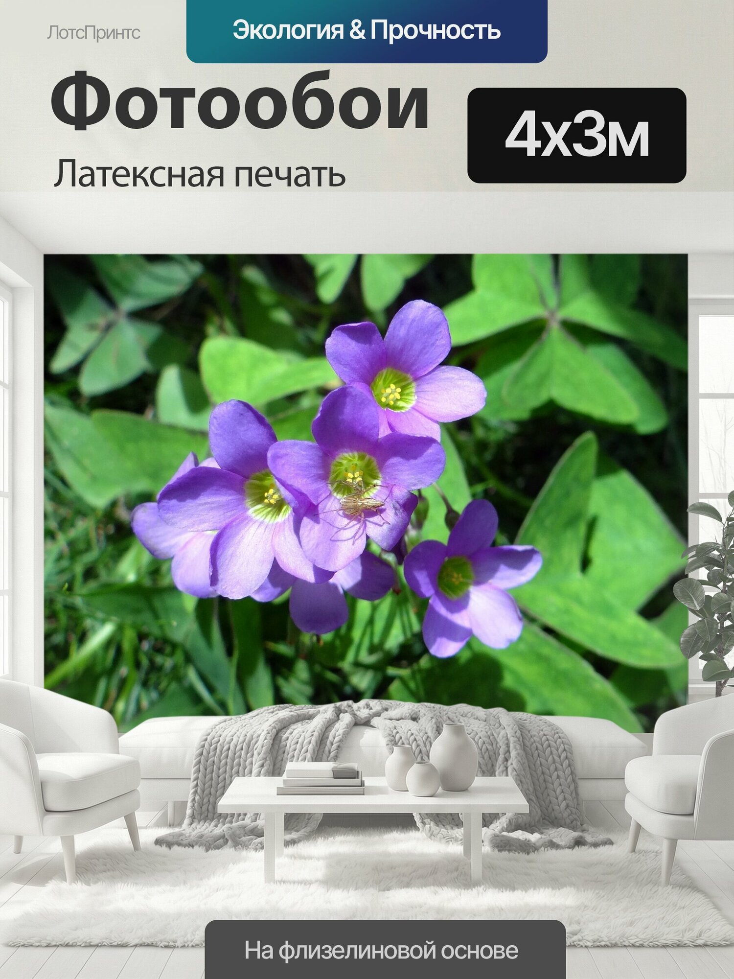 Фотообои моющиеся ударопрочные "Ползучий щавель, цветок, ползучий оксалис" 400x300 см. латексная печать
