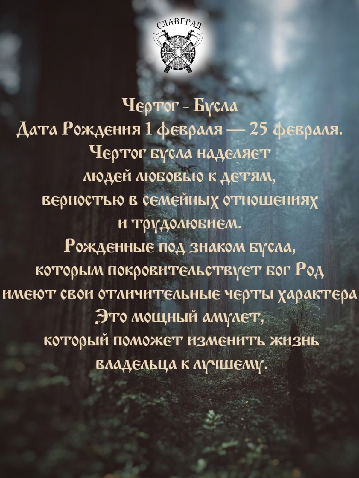 Шарм, серебро — фото 1