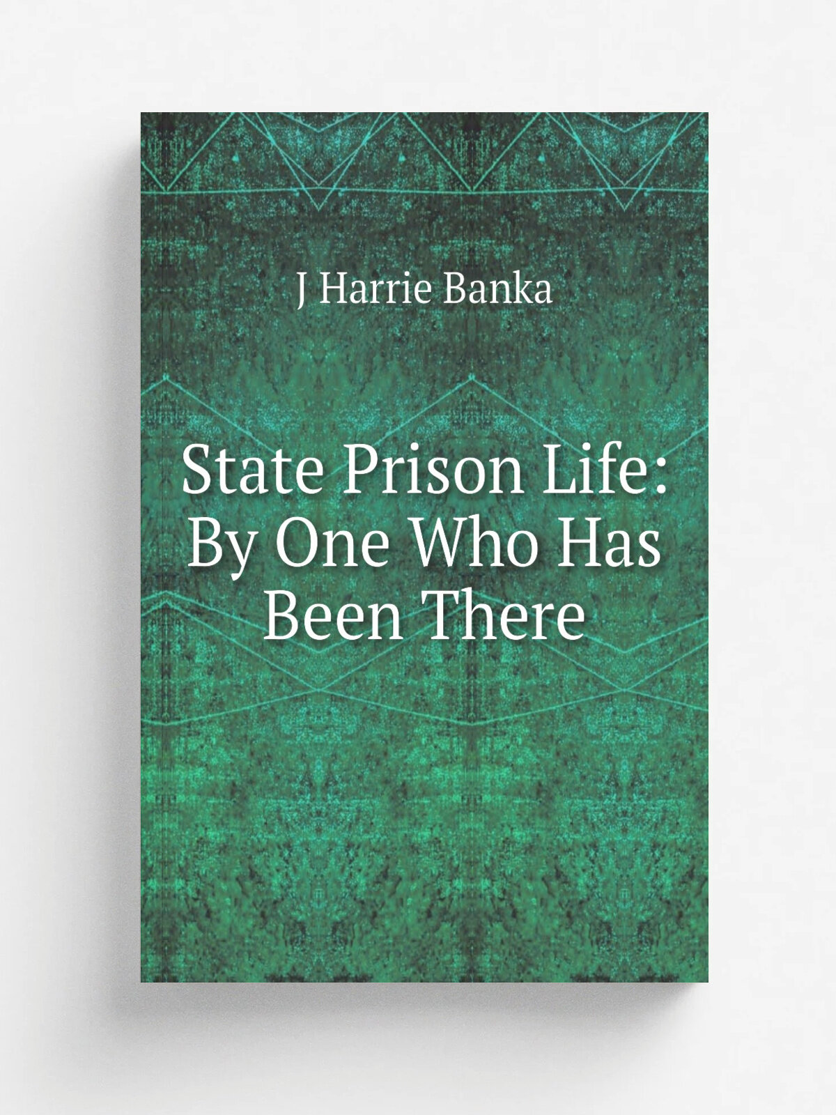 State Prison Life: By One Who Has Been There | J Harrie Banka | Репринт