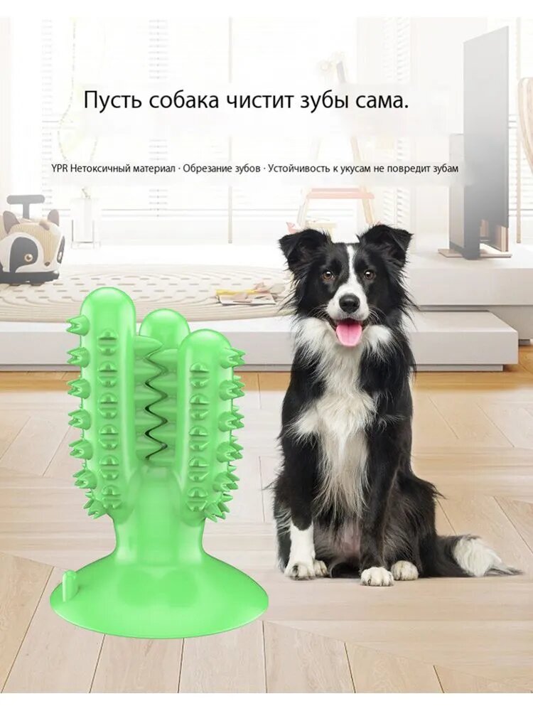 Каучуковая игрушка для собак в форме кактуса, для лакомств, зеленый, 30 см
