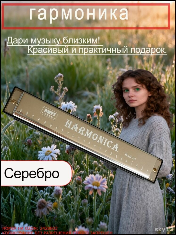 Эксклюзивная цельнометаллическая хроматическая гармоника на 24 отверстия с одинарными нотами для освоения мелодий