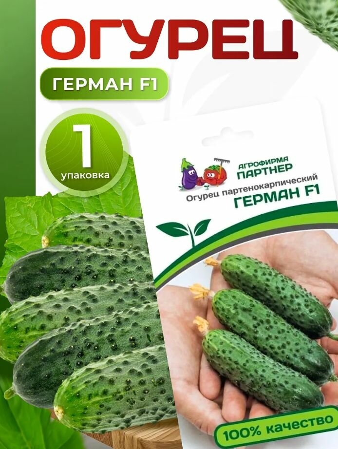 Семена огурцов Герман