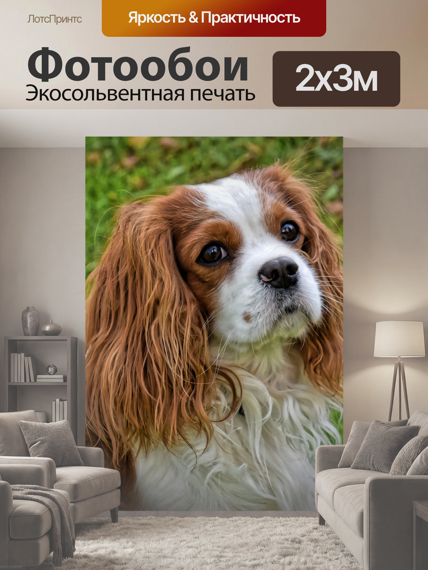 Фотообои "Собака, кавалер кинг чарльз спаниель, веселая" 200x300 см. экосольвентная печать