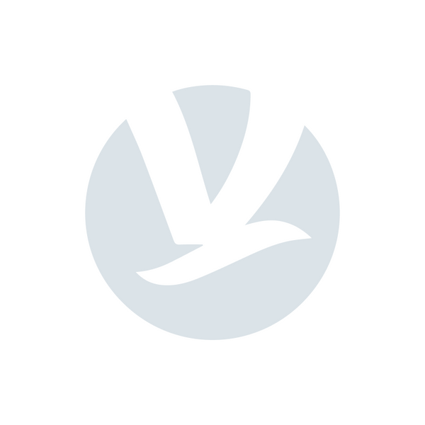 Мягкая игрушка Jile Toys Капибара с тюльпаном, 40см