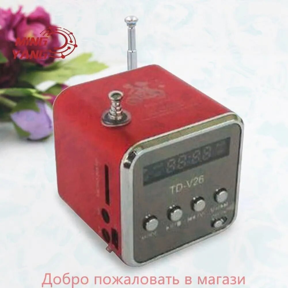 TD-V26 Цифровой портативный мини FM-радиоприемник, черный