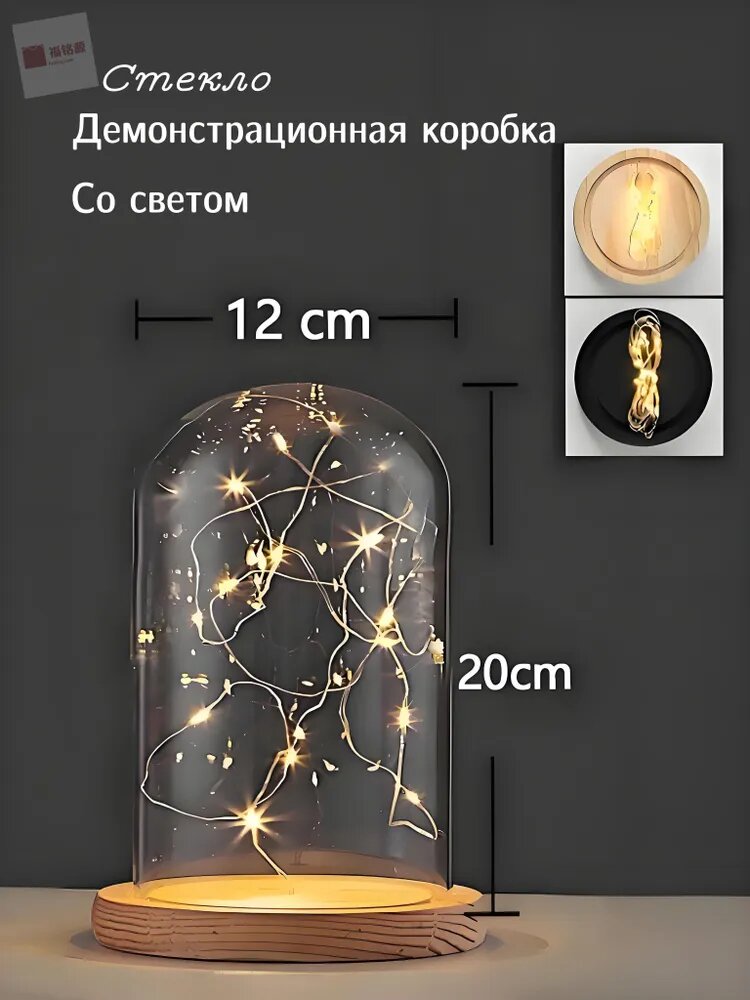 Цилиндрическая стеклянная коробка для моделей, витрина, 12x20 см, с подсветкой